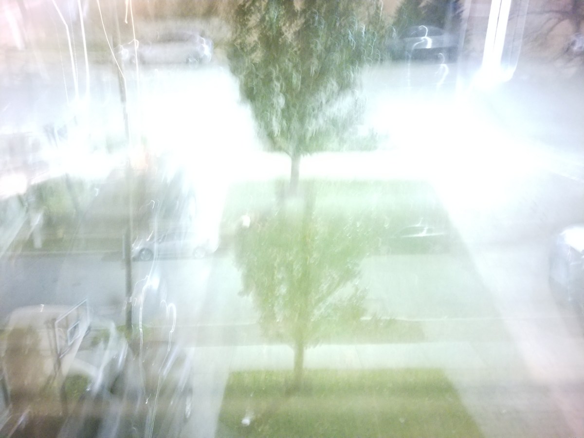 Skeleton Trees – The Blue and White